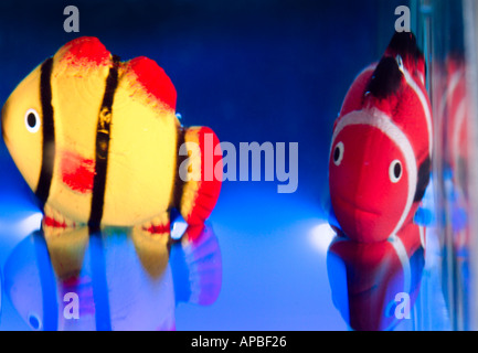 bright plastic clown fish water toy play tropical Stock Photo - Alamy