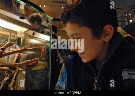 Child at the Insectarium Montreal Canada Stock Photo - Alamy