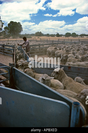 Aboriginal stockmen, outback Australia Stock Photo - Alamy