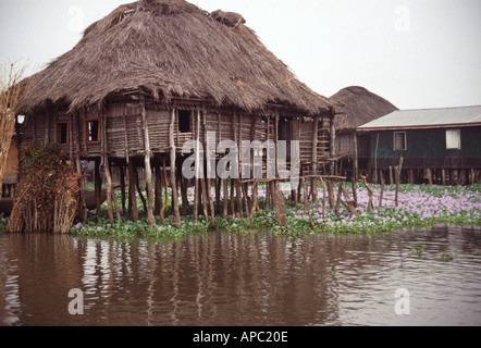 Traditional thatched roof stilt house in the Amazon region of Peru Stock Photo: 3273409 - Alamy