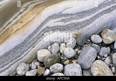 Folded, metamorphic rock from gneiss in the riverbed of the Verzasca ...