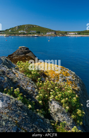 Bryher, Isles of Scilly, GB, United Kingdom, England, N 49 57' 8'', S 6 ...