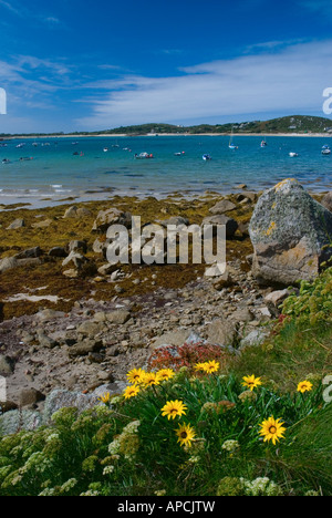 Bryher, Isles of Scilly, GB, United Kingdom, England, N 49 57' 8'', S 6 ...