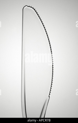 Picture by Patrick Steel www patricksteel co uk Stock Photo - Alamy