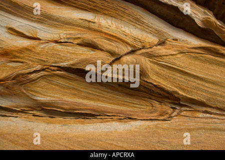 Patterns in sandstone cliff face at Cronulla Sydney NSW Australia Stock ...