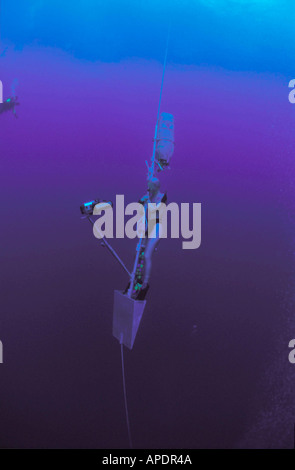 Tanya Streeter No Limits freediving world record Turks Caicos August ...