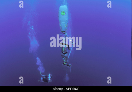 Tanya Streeter No Limits freediving world record Turks Caicos August ...