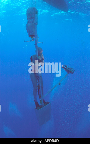 Tanya Streeter No Limits freediving world record Turks Caicos August ...