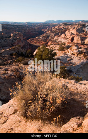 SW Utah parks in winter Stock Photo - Alamy