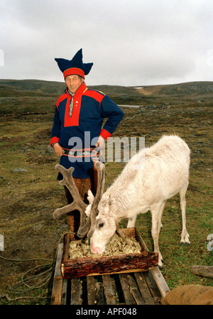 Sami man and reindeer formerly known as Lapps Norland, Norway ...