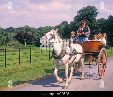 The Horse Cart Ride Stock Photo - Alamy