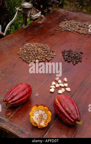 Stages of chocolate production Stock Photo - Alamy