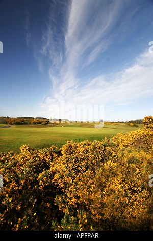 Burnside course 9th hole Carnoustie golf Links scotland Stock Photo - Alamy