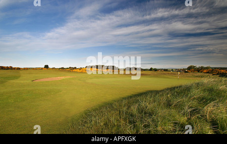 Burnside course 8th hole Carnoustie golf Links scotland Stock Photo - Alamy