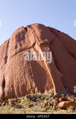 Ayers Rock, Close-up of plants growing a in crack in Uluru's rock ...
