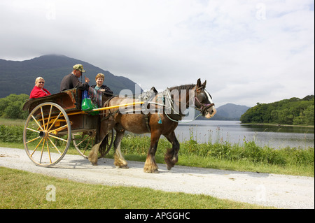 Traditional Irish horse drawn jaunting car as taxi at Kilronan on the ...