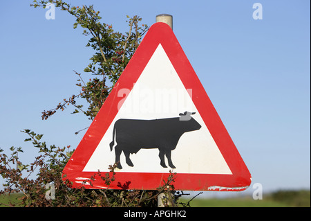 Red triangle warning cows crossing sign, on a green meadow, tree in ...