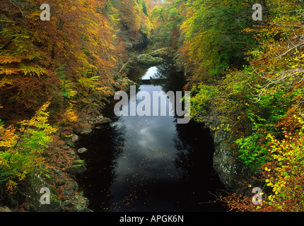 River Garry at Killiecrankie running through forest dominated by beech ...
