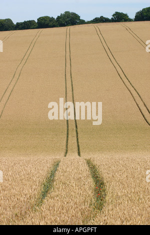 Trees and tractor patterns Stock Photo - Alamy