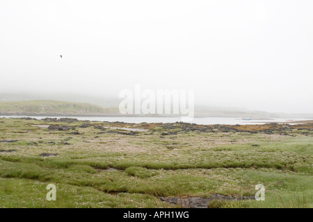 Ulva, Isle of Mull, Scotland, May 2013 Stock Photo - Alamy