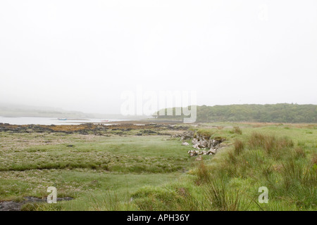 Ulva, Isle of Mull, Scotland, May 2013 Stock Photo - Alamy
