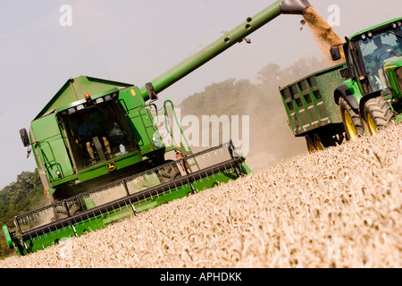 Combine harvester emptying a load of wheat through the auger into a ...