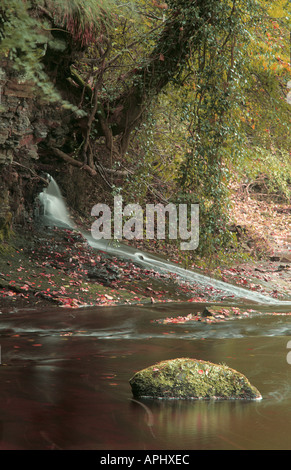 River Dane in Wincle, Cheshire Derbyshire border, UK Stock Photo - Alamy