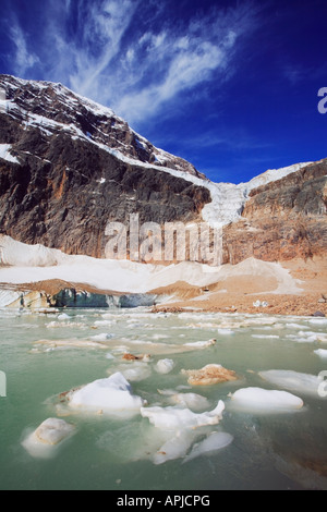 Mt Edith Cavell glacial pond with icebergs, Jasper National Park ...