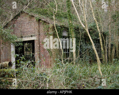Derelict building being reclaimed by nature Stock Photo - Alamy