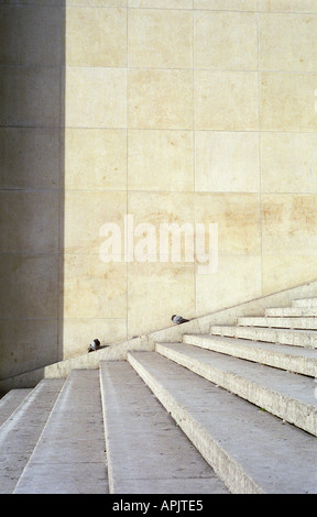 two pigeons on steps Stock Photo - Alamy