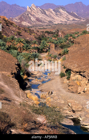 Wadi Sharm area United Arab Emirates Stock Photo - Alamy