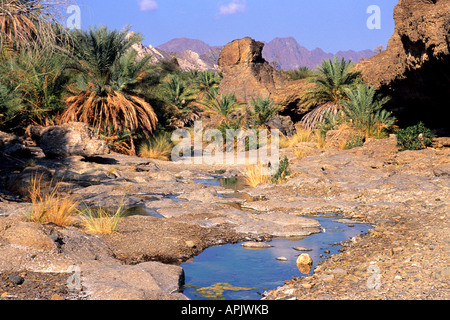 Wadi Sharm area United Arab Emirates Stock Photo - Alamy