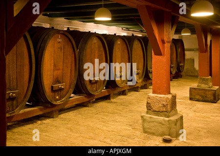 Oak port port wine barrels in a row Stock Photo - Alamy