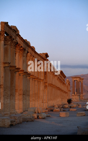 Syria: The Great Colonnade and Qala’at Ibn Maan Castle above the ruins ...