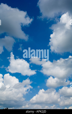 Bright blue sky with dramatic cumulus clouds lit by the daytime sun ...