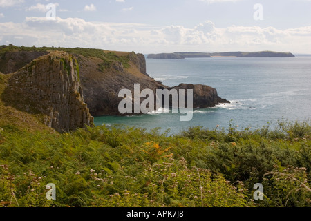 Limestone cliffs near Lydstep in Pembrokeshire Wales Stock Photo - Alamy
