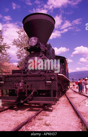 Restored Canadian National Steam Locomotive 6015 On Display in Jasper ...