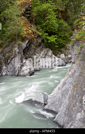 The Elwha River flowing through Goblin Gate Rica Canyon Trail Olympic ...