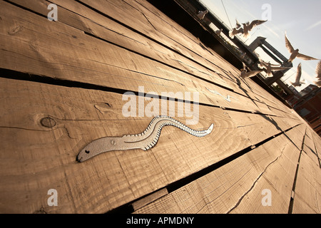 September 2007 Eel on the River Hull board walk part of the fish trail ...