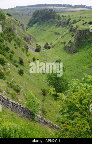 Upper reaches of Lathkill Dale in the Derbyshire Peak District UK with ...