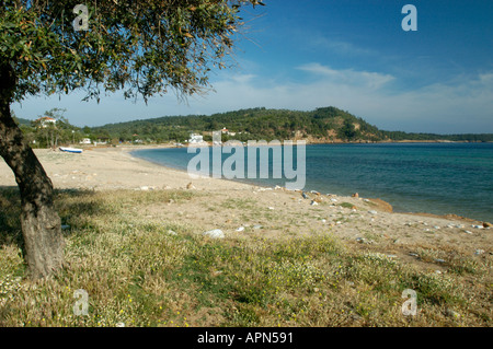Beach at Astris, Thassos, Greece Stock Photo - Alamy