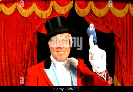 circus ringmaster with performing parrots Stock Photo - Alamy