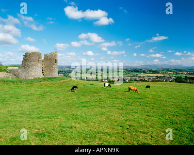 Harry Avery's Castle, Newtownstewart, County Tyrone, Ireland Stock ...