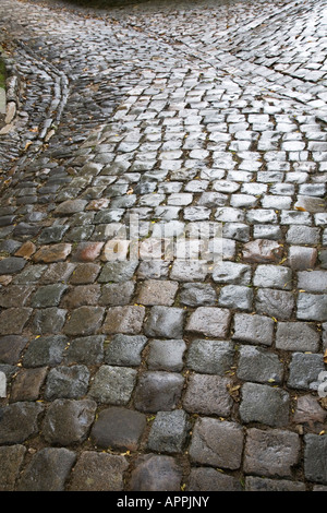 Wet and slippery worn cobble stones in ancient road Cassel Flanders ...