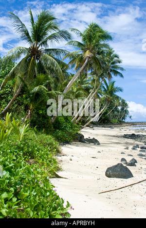 A Beautiful Tropical Beach on Yap Island Stock Photo - Alamy