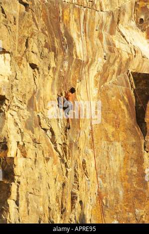 Rock Climbing by Brisbane River Brisbane Queensland Australia Stock ...