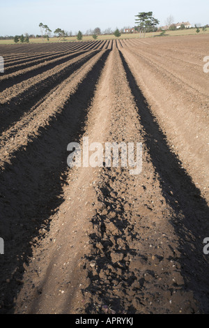 Ploughed field, Deep Furrows Stock Photo: 48931000 - Alamy