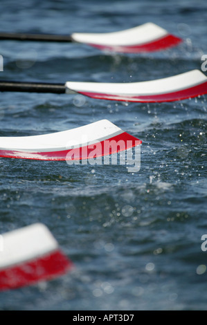 Red and white rowing boat blades in action Stock Photo - Alamy