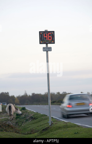 A speed radar on the pole at the road Stock Photo - Alamy