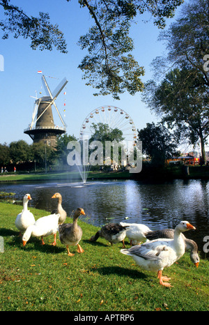 Windmill on Ground Stock Photo - Alamy